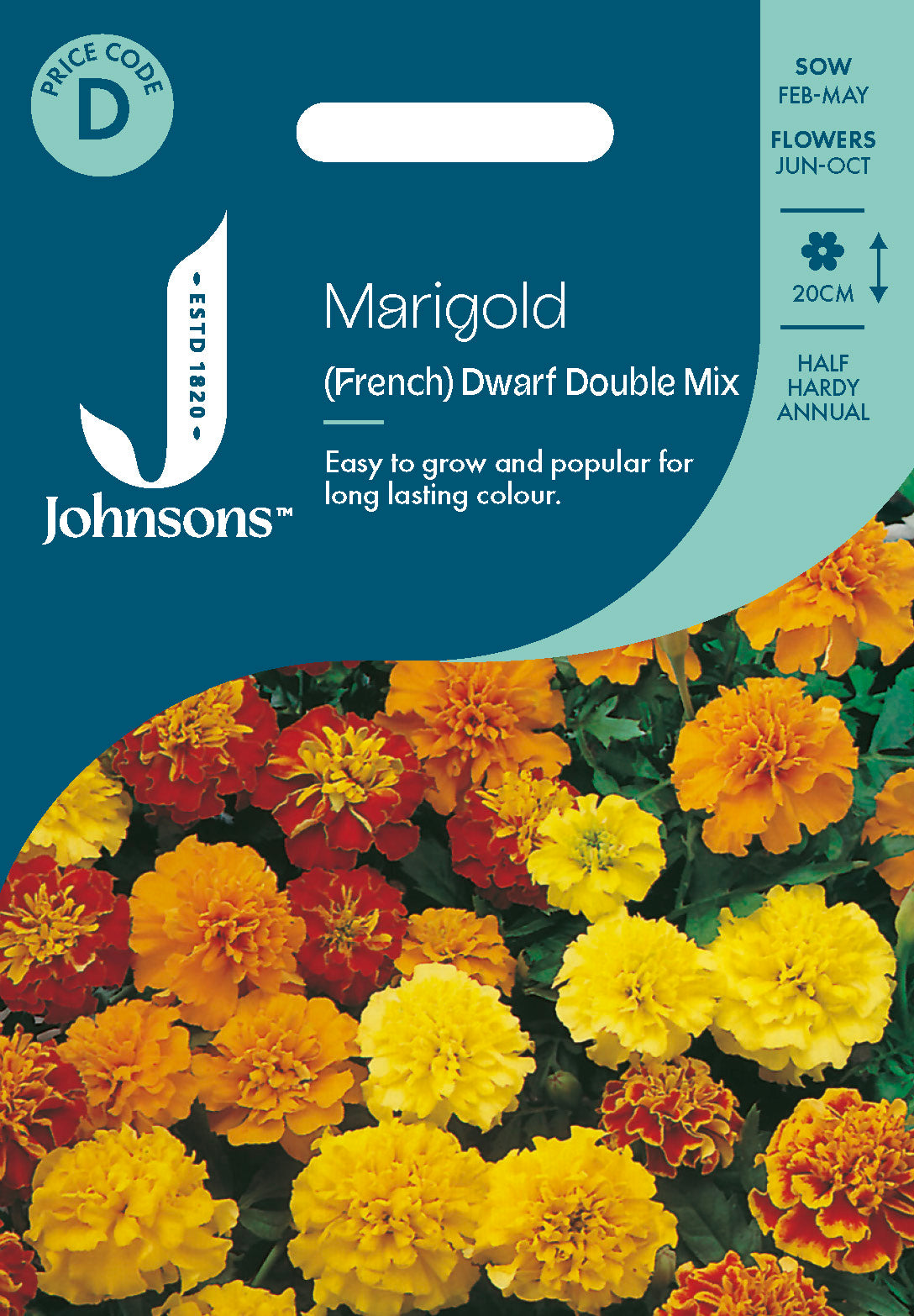 Johnsons Marigold (French) Dwarf Double Mix Seeds – Grasmere Garden Centre
